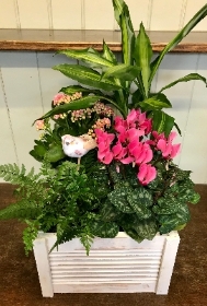 Home | Gloucester Florists | Gloucester | Gloucestershire